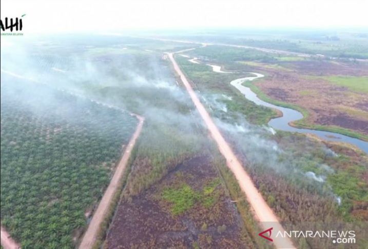 An aerial view of palm oil plantations on fire – RFMRC-SEA